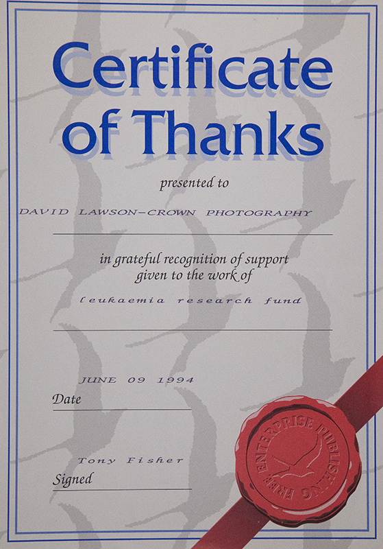 024 Awards - David Lawson