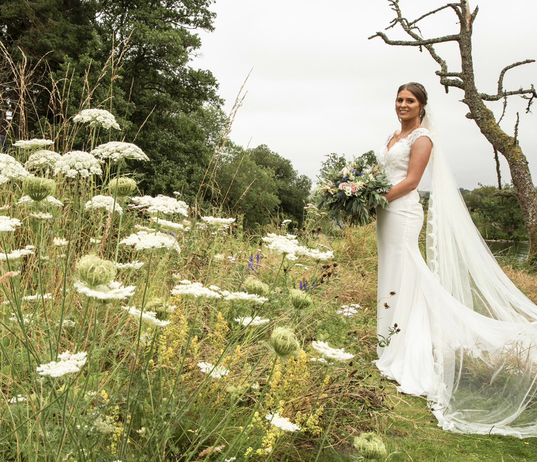 233 RR - David Lawson